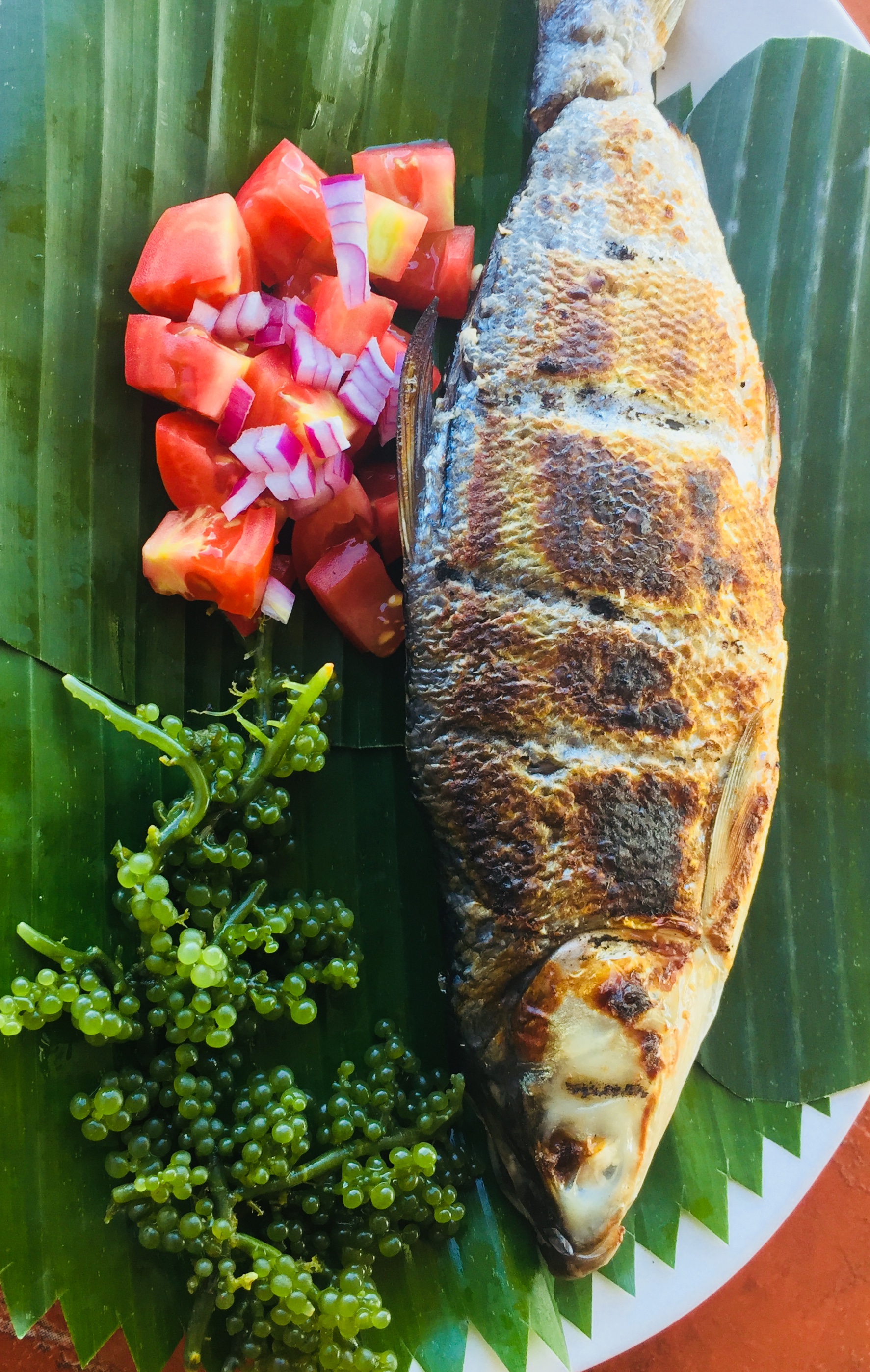 Tourist Destination | Maxine by the Sea Restaurant and Lodge